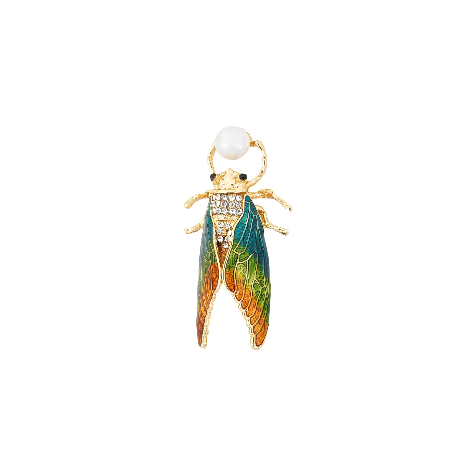 Emory Blue Wing Cricket Brooch – GlobalBees Shop