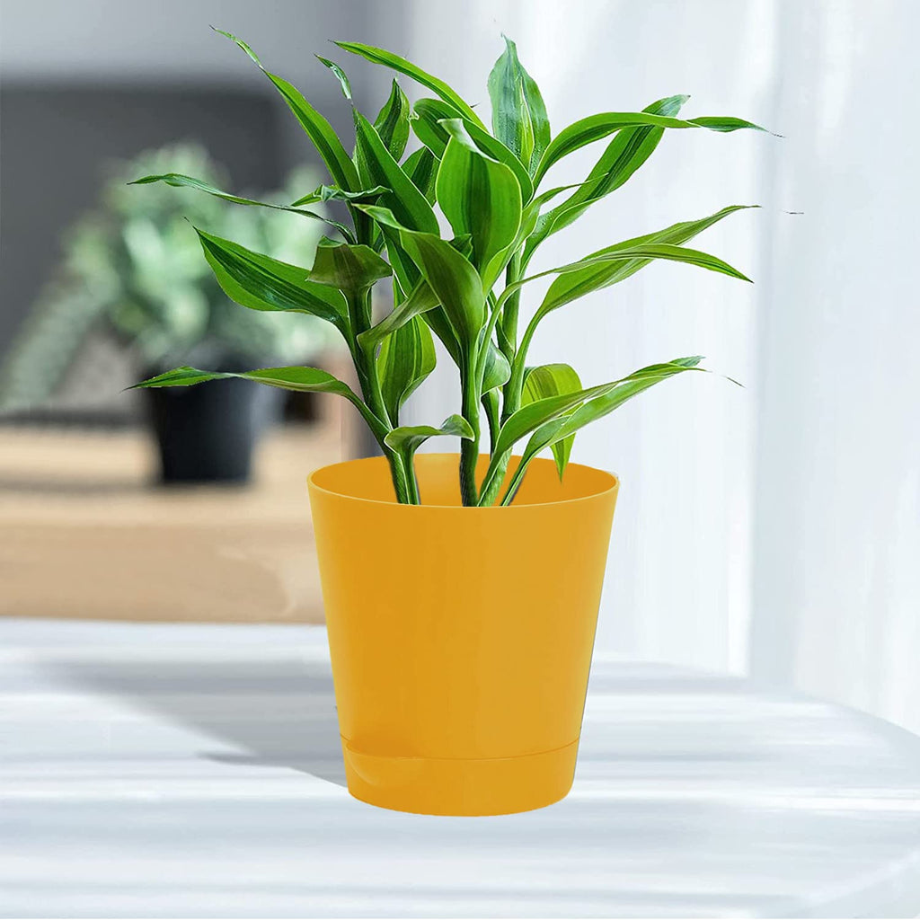 Kuber Industries Plastic Titan Pot|Garden Container for Plants ...