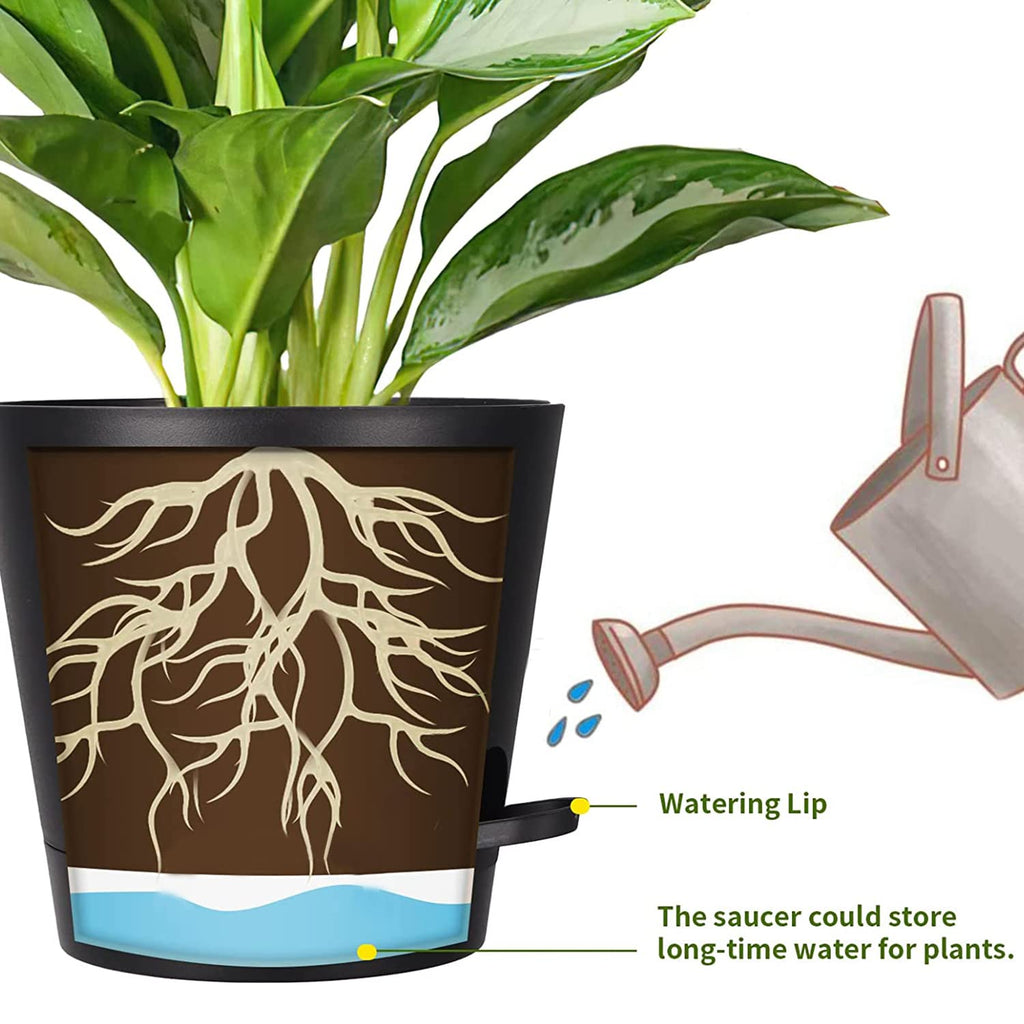 Kuber Industries Plastic Titan Pot|Garden Container for Plants ...
